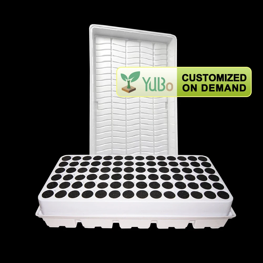 Customizable Hydroponic System Greenhouse Ebb And Flow Trays Hydroponic ...