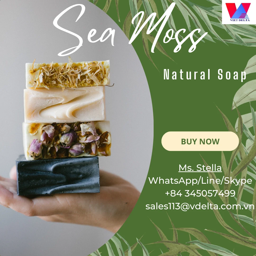 The Best Soap/bar Sea Moss Soap With 100% Natural Seaweed From Ocean ...