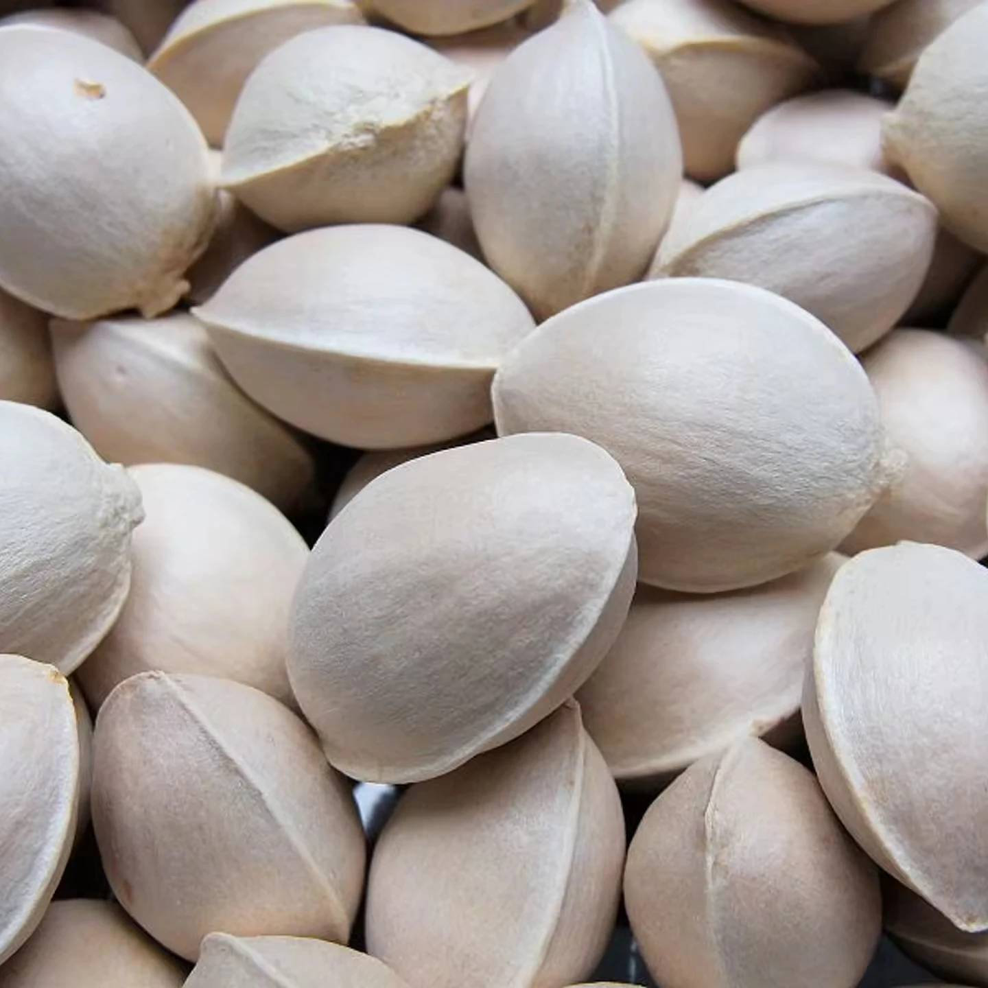 Ginkgo Nuts Peeled Raw & Kernels - Buy Ginkgo Nuts Product on Alibaba.com