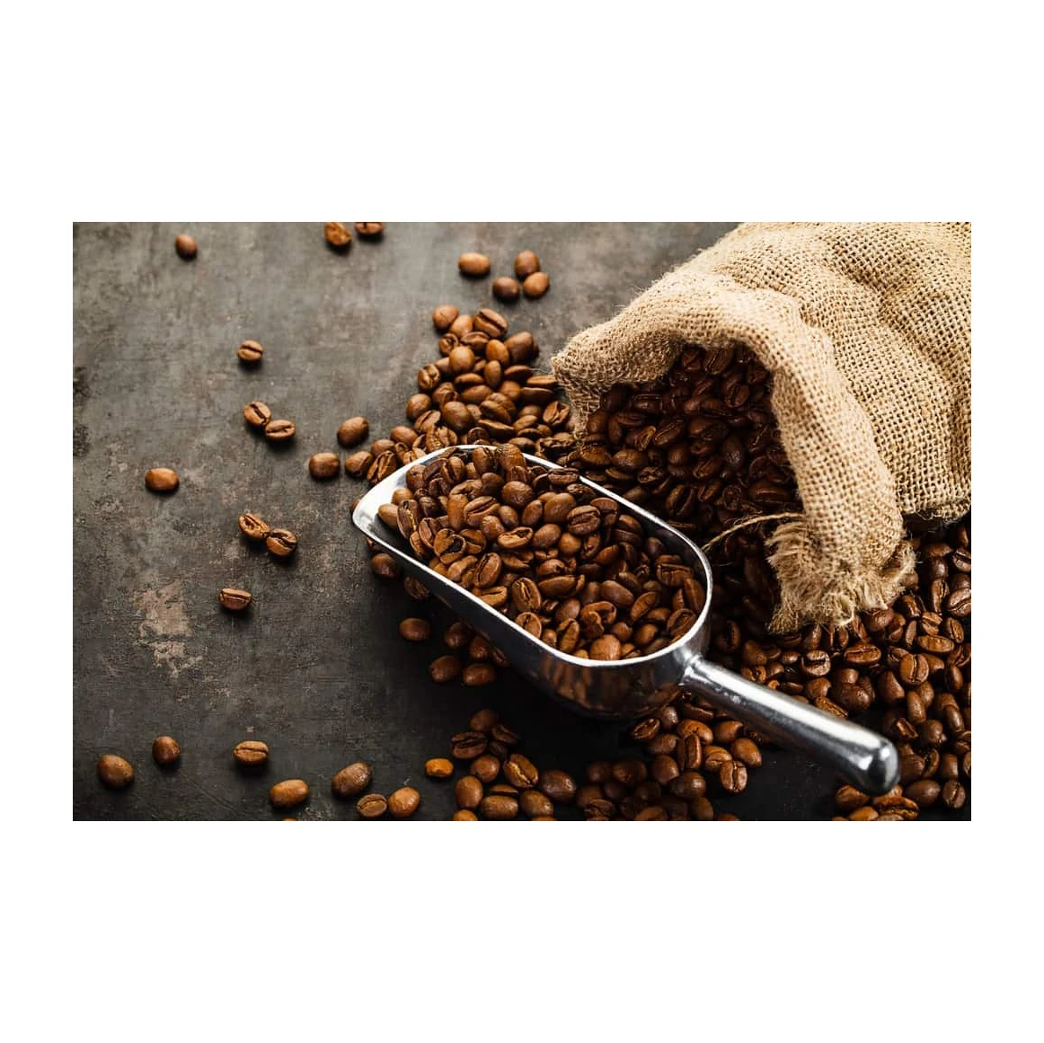 Fresh Produce Arabica Coffee Beans Supplier Robusta Coffee Beans,Green ...