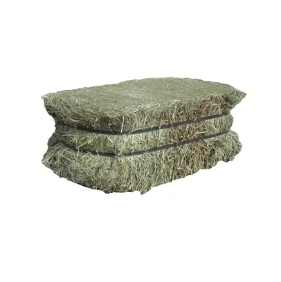 Alfalfa Hay - Premium Timothy Hay for Animal Feeding