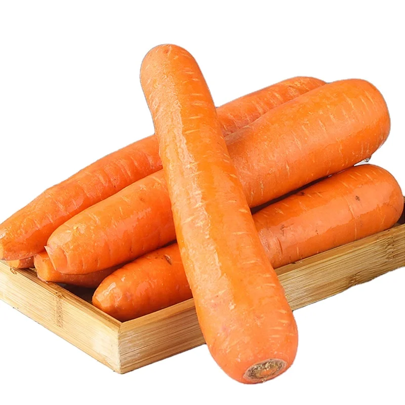 Premium Quality Fresh Carrots/organic Carrots New Season - Buy Fresh ...