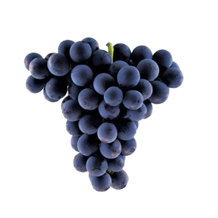 Fresh Top Quality Seedless Grape In Cartoon And Plastic Wholesale Best ...
