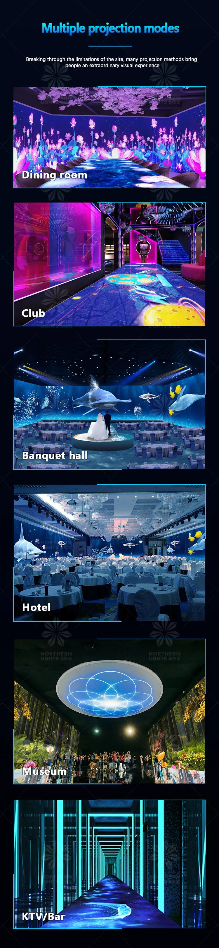 Immersive 3D Holographic Projection for Museums - 5200 Lumens