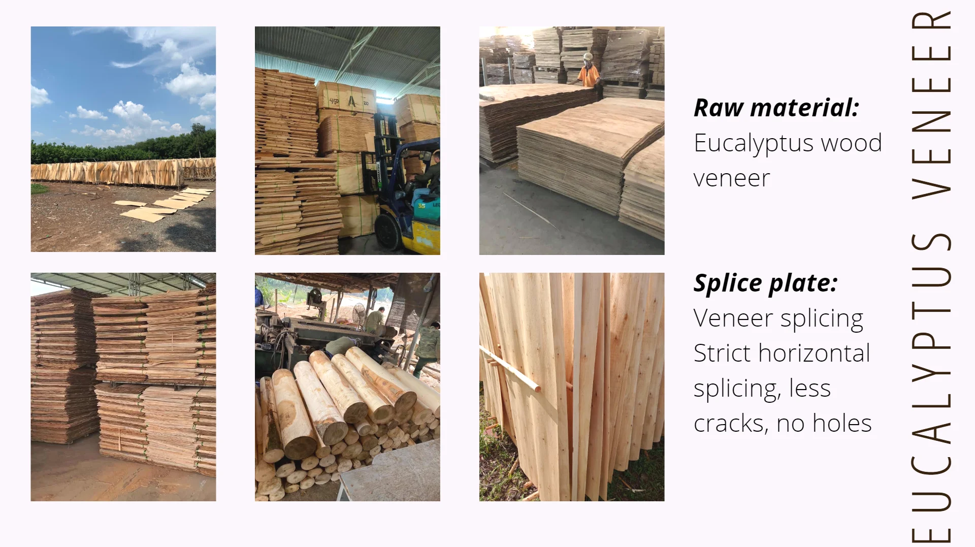 Natural Veneer From Eucalyptus Wood Straight From Vietnam Manufacturer ...