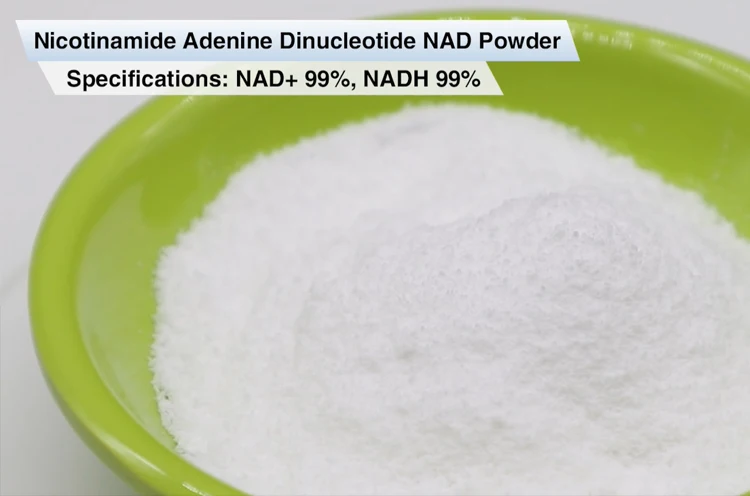 Wholesale Price Food Grade Nad Plus Cas 53-84-9 99% Nad+ Nad Powder In ...