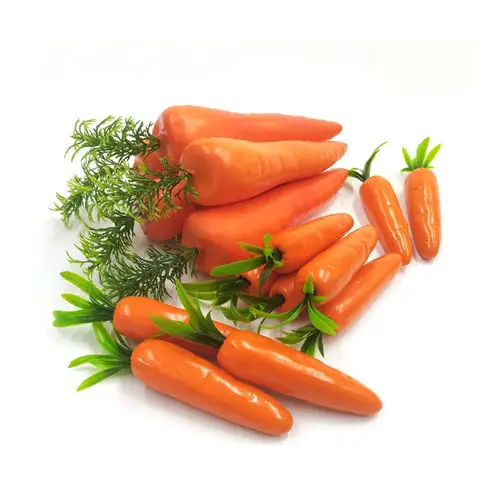 Organic And Sustainable Fresh Vegetable Carrots In Bulk - Buy ...