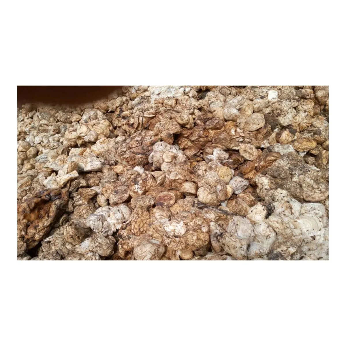 Premium Cup Lump Natural Rubber With 72% Dry Rubber Content Offered For ...