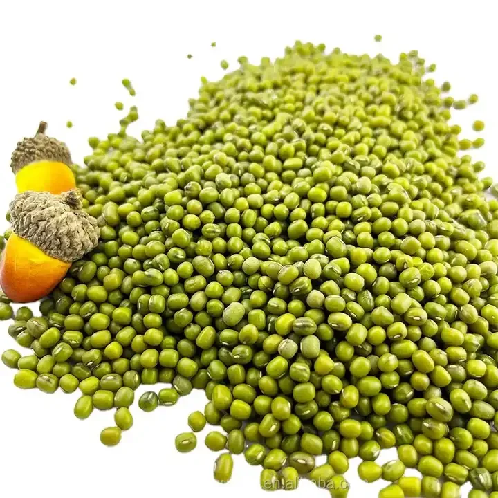 Green Mung Beans Green Mung Bean Latest Crop Supply Different Size Mung ...