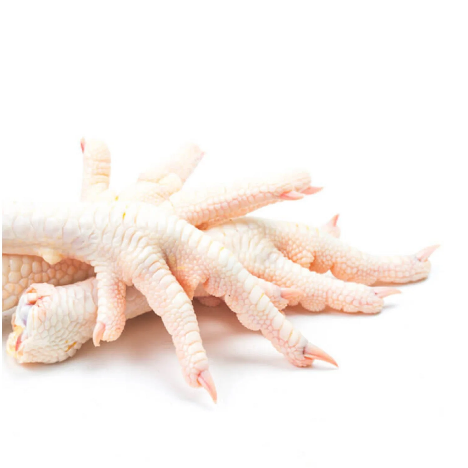 2024 Halal Frozen Chicken Feet,Paws With Full Certifications Frozen ...