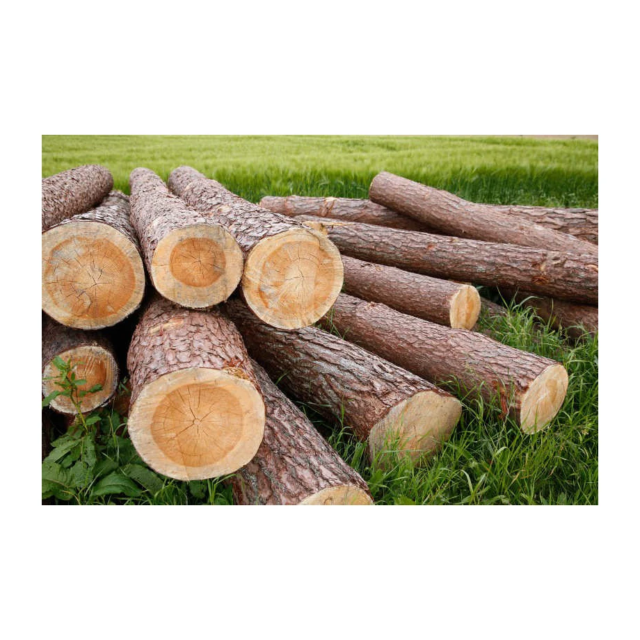Cheap Price Railway Wooden Sleeper Pine Wood Building Material ...