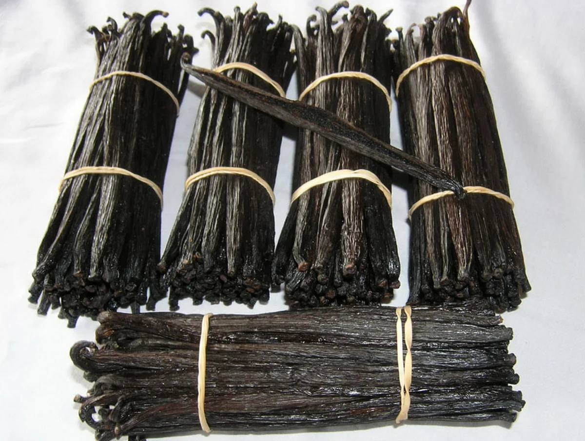 Top Grade Madagascar Origin Dried Vanilla Beans Wholesale Supply Cheap ...