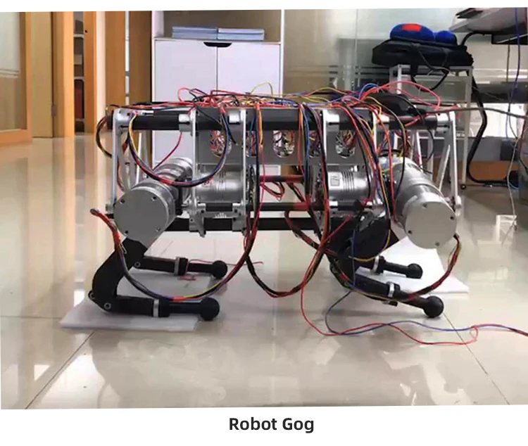 Jupiter Customized Exoskeleton Torque Joint Robotic Arm