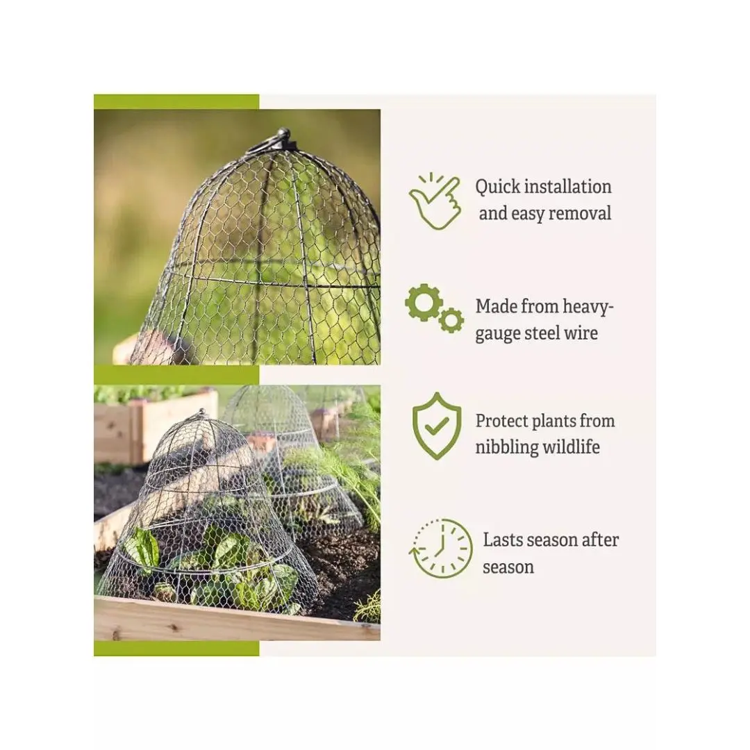 Wire Garden Cloche Waterproof Metal Modern Extension for Pest Control ...