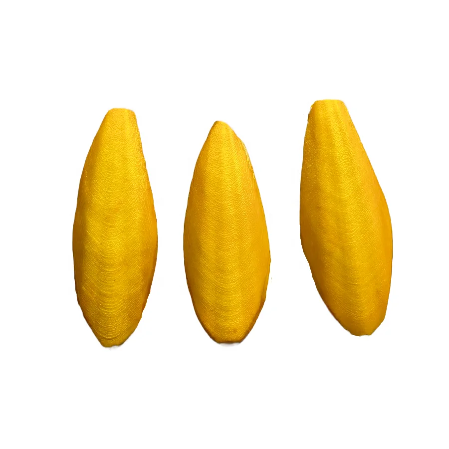 BEST SELLER FLAVOR DRIED CUTTLEFISH BONE SEPIA SHELL SINGLE/ DOUBLE in ...