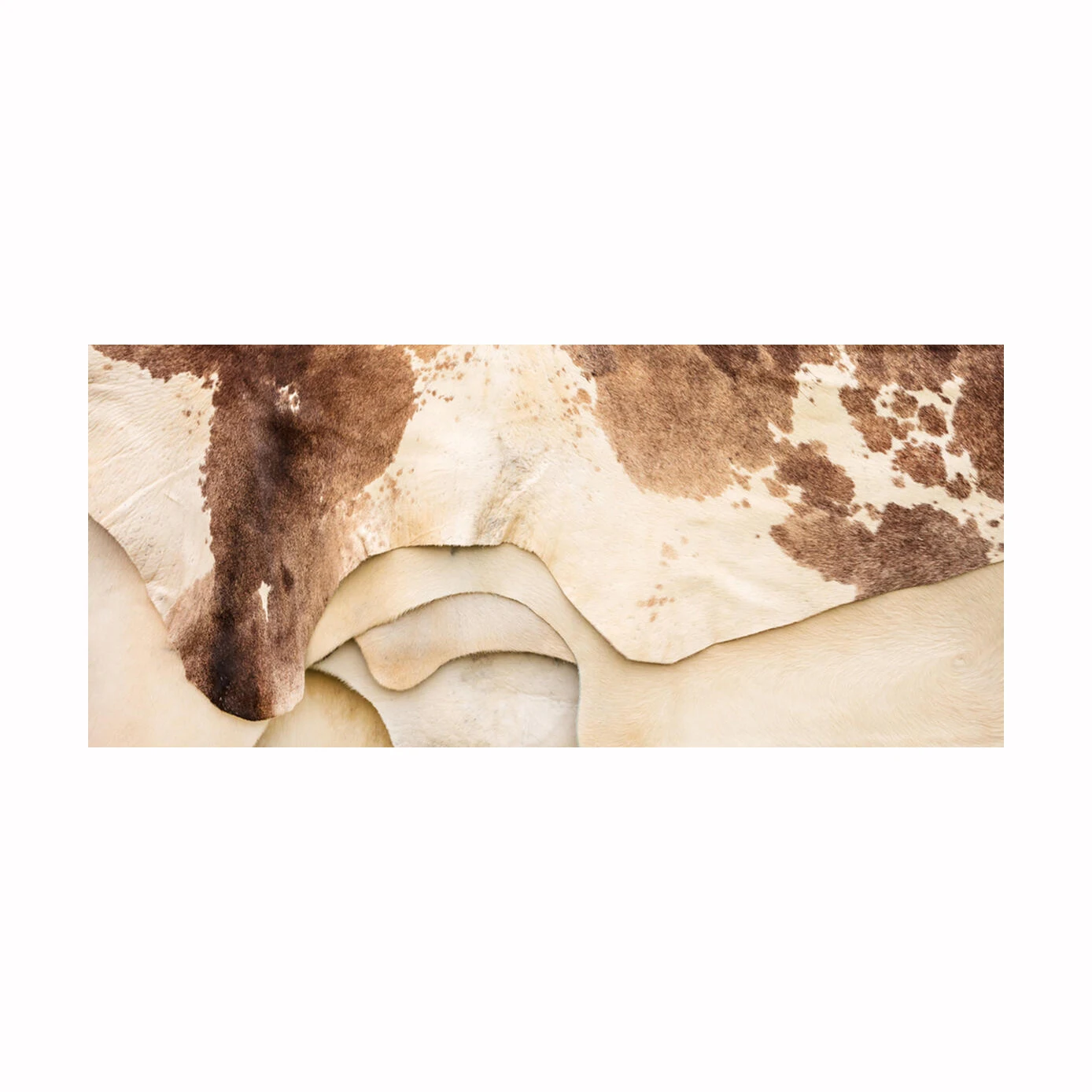 Dry Salted Cow Hides / Raw Salted Cow Hides - Buy Best Price Dry And ...