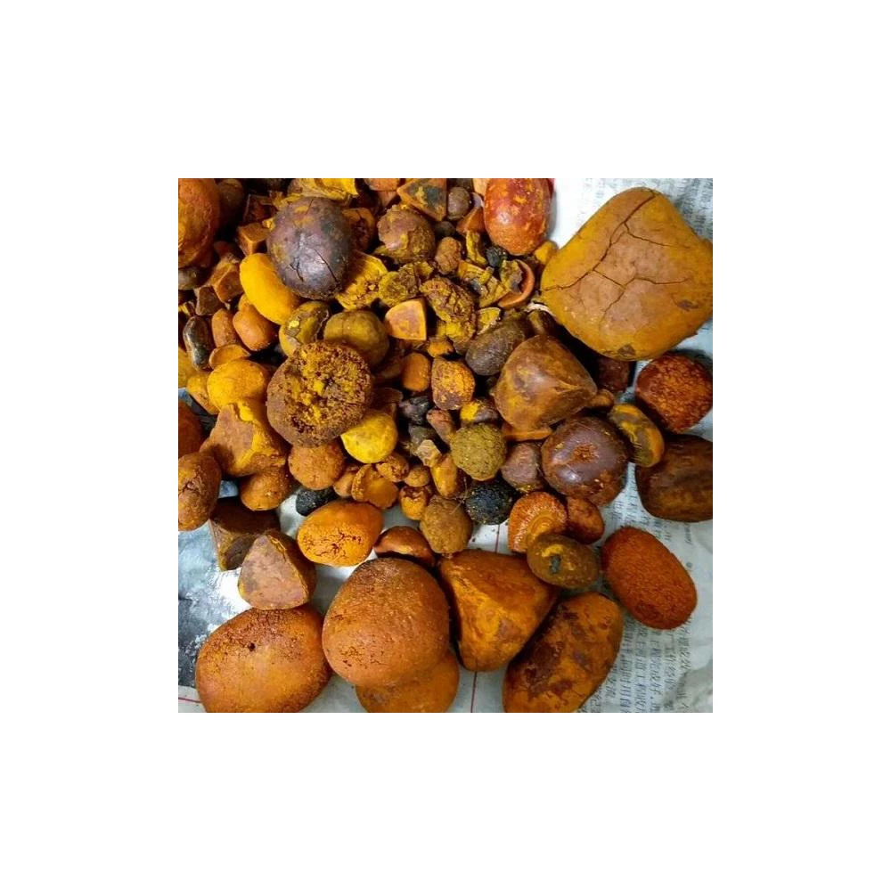 Cattle Gallstone Cow Gallstone Ox Gallstone Ox Bezoars Cow Bezoars ...