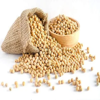 50kg Bag Sprouting And Food Grade Dry Yellow Soybean Seed Non Gmo ...
