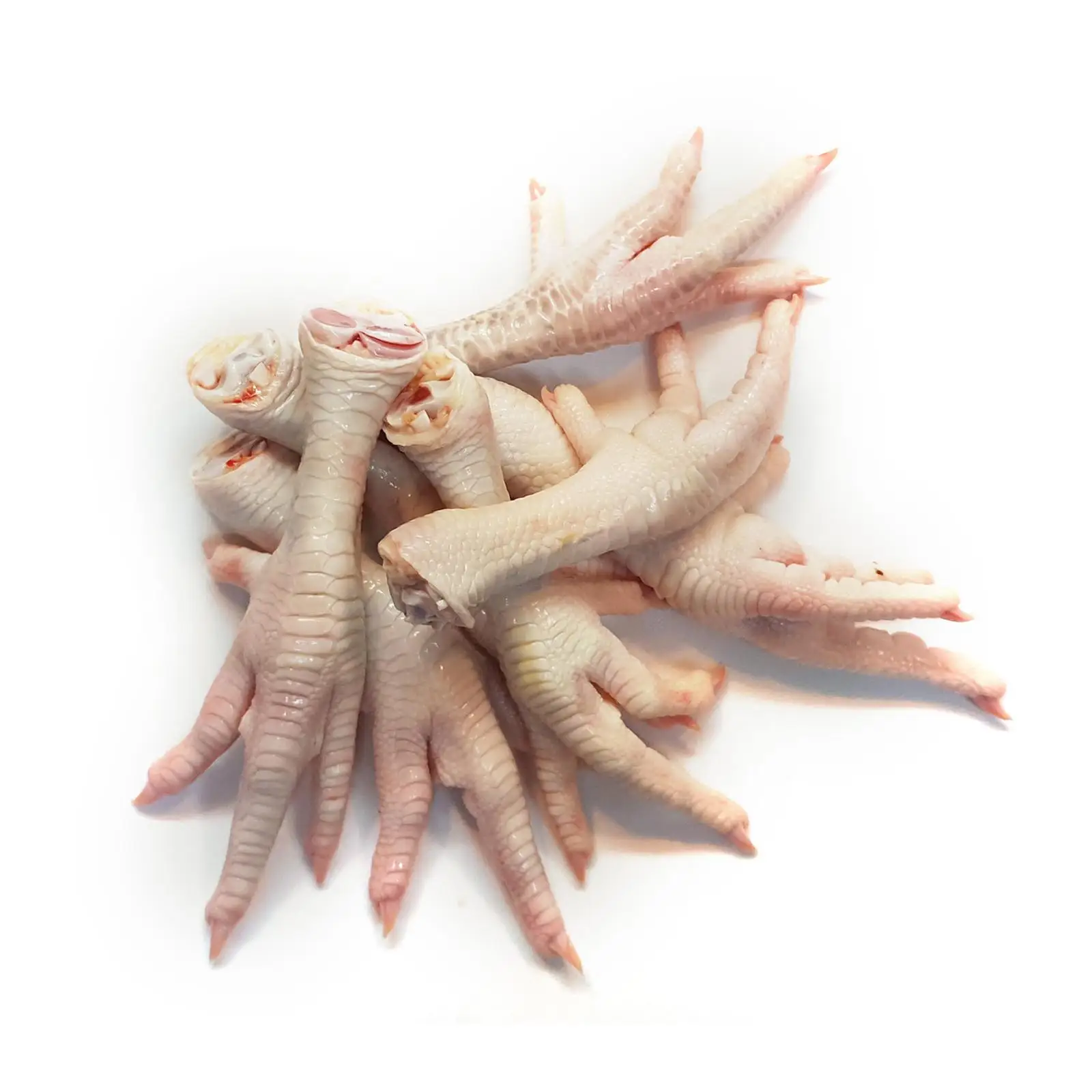 2024 Halal Frozen Chicken Feet,Paws With Full Certifications Frozen ...
