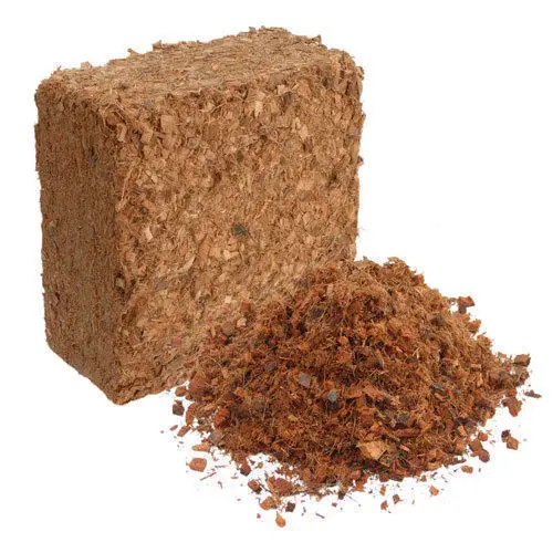 Coco Peat/coco Fiber/cocopeat/peat Moss - Buy High Quality Organic ...