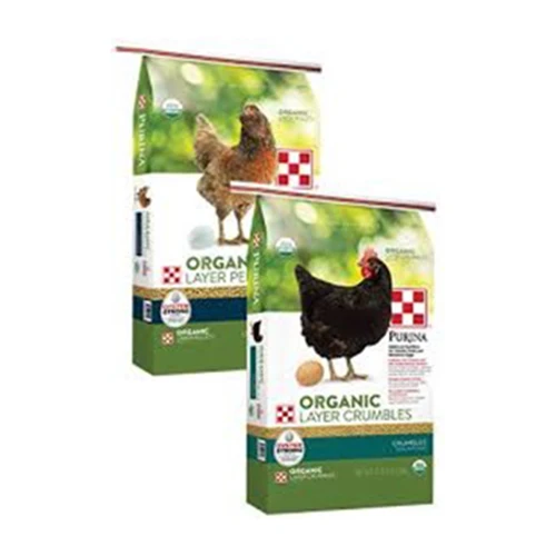 Fresh Pecks Chicken Layers New Best Material With Cheap Rate - Buy ...