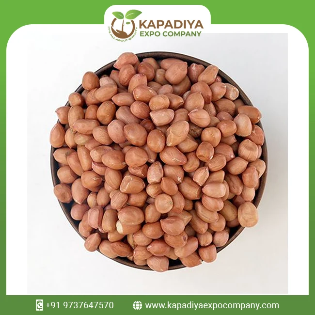 Indian Origin Bold Peanut 100% Natural Groundnut Raw Peanut Bold - 38/ ...