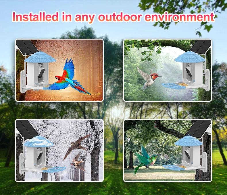 Wholesale Factory AI Intelligent Automatic Bird House and Feeder with ...