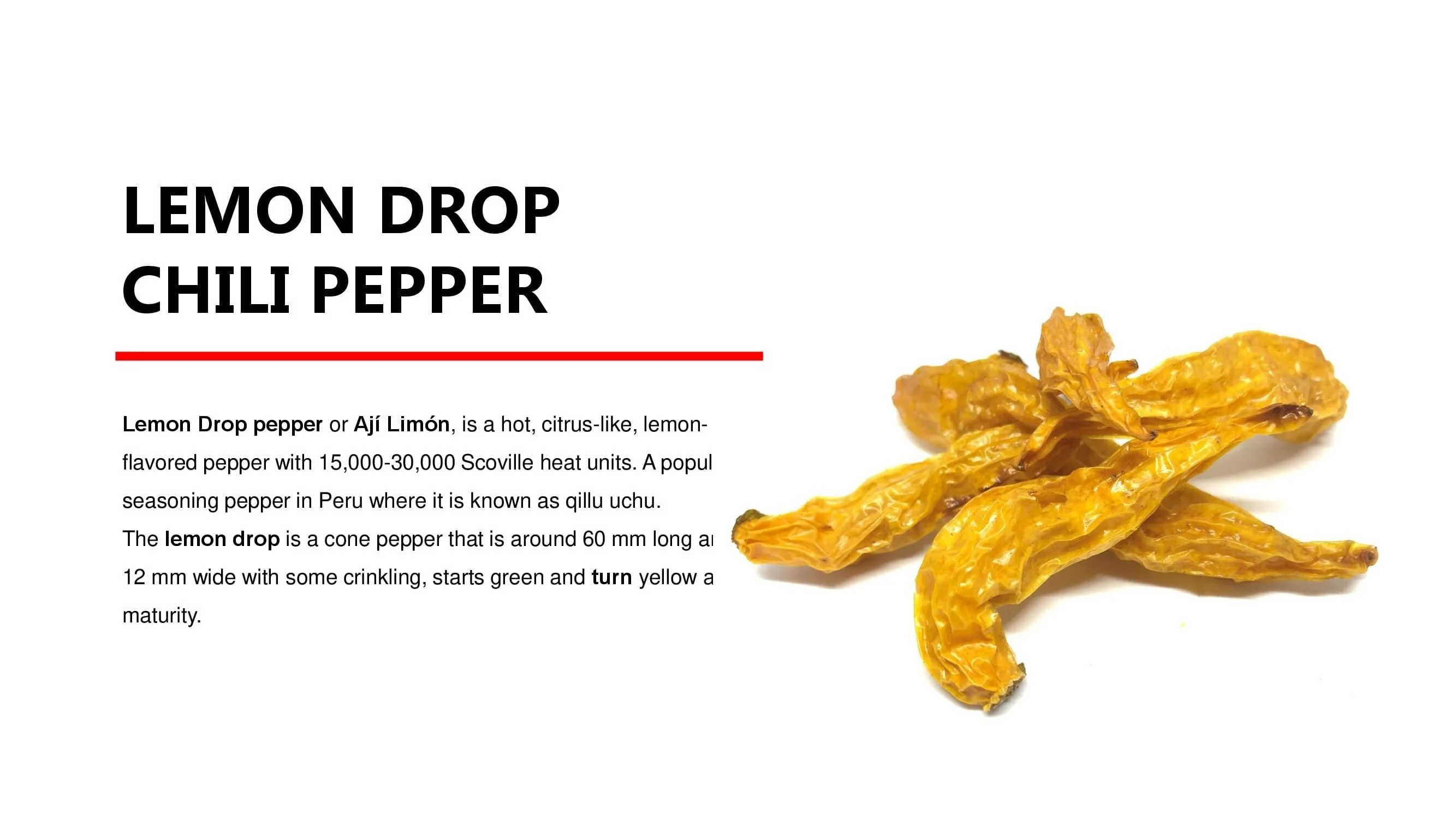 Red Chili Hot Pepper Dried From Fresh Red Chillies From Trusted Buyer ...