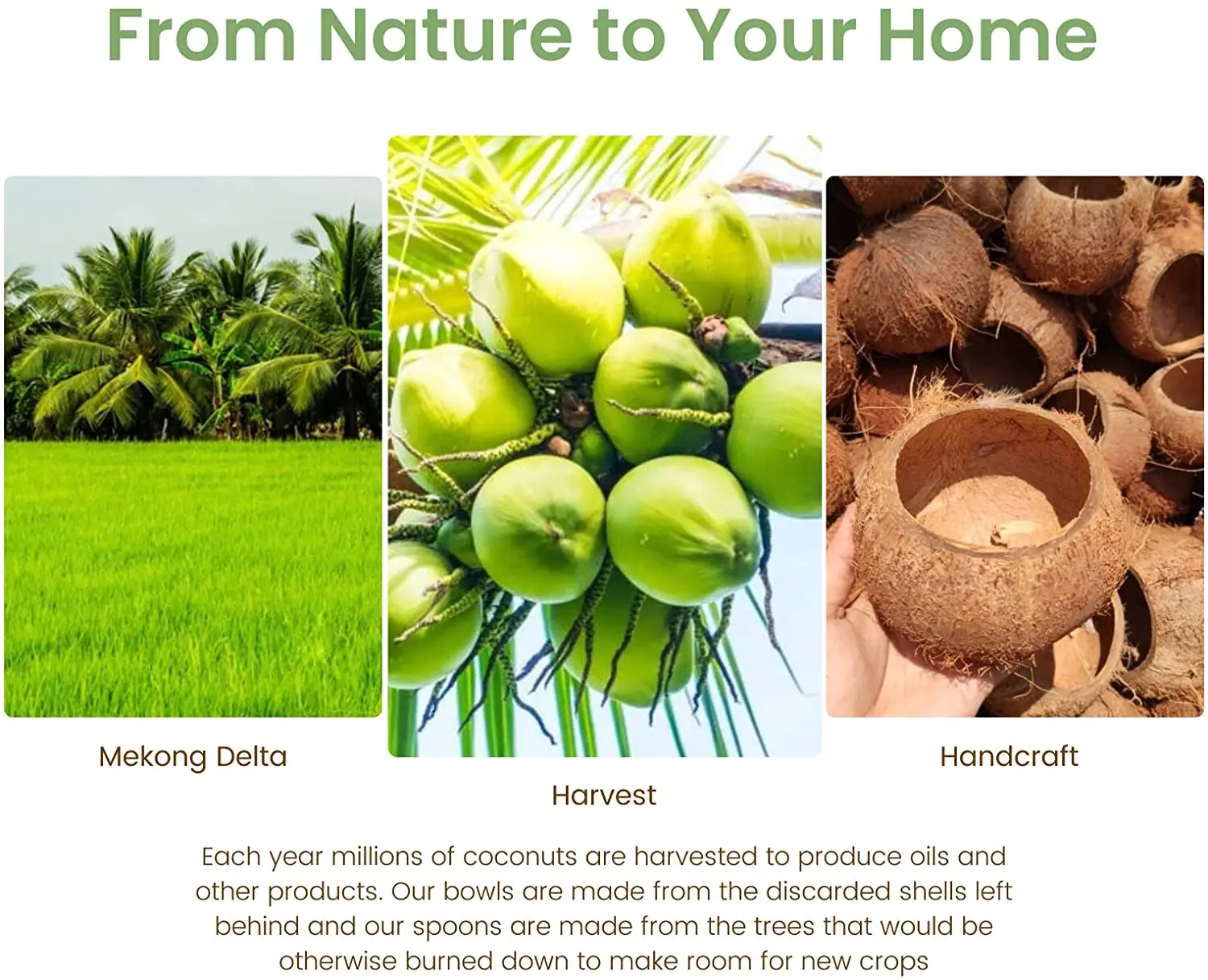 Eco-friendly Coconut Shell Bowls - Perfect for Dinnerware