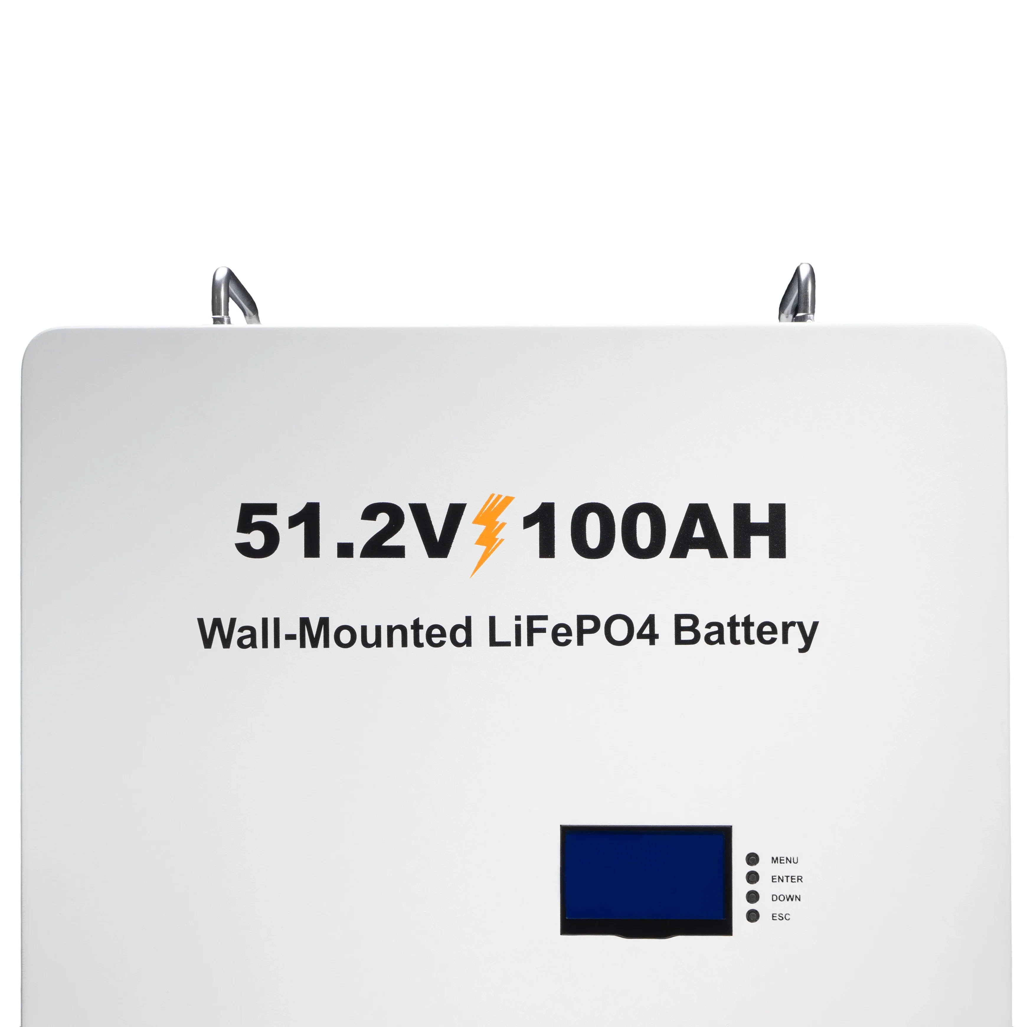 Eco-worthy 51.2V 100Ah CAN Communication LiFePO4 Lithium Iron Phosphate ...