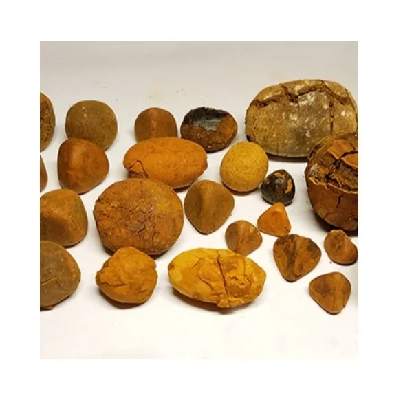 Ox Gallstone - Natural Bezoar for Various Applications