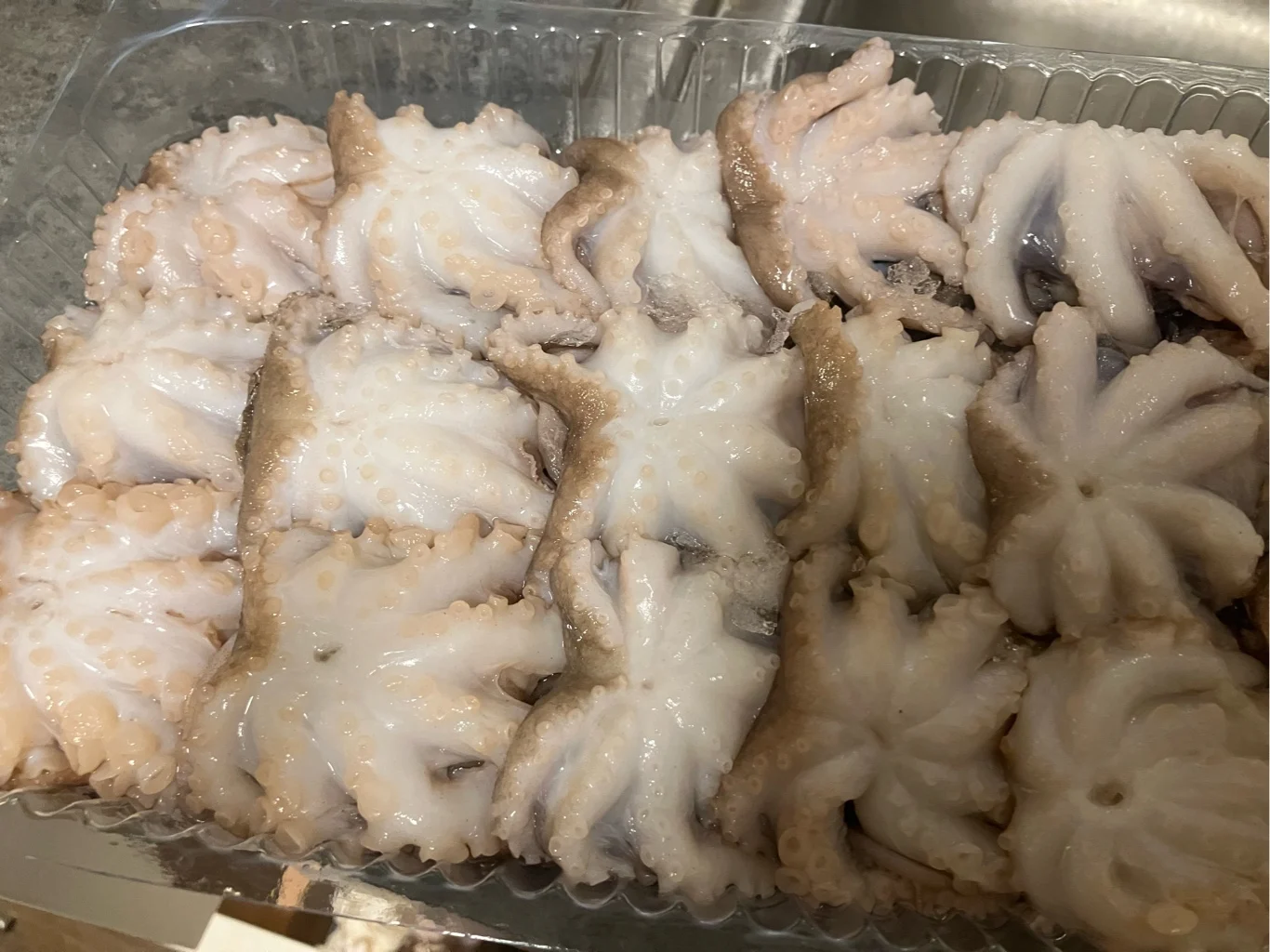 Frozen Baby Octopus Squid Fish Flowers For Market 20-40 40-60 Good ...