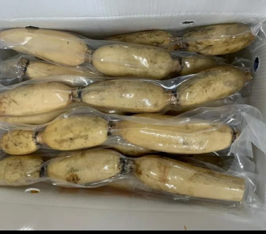 Production Of High Quality Dried Lotus Root From Vietnamese Suppliers ...