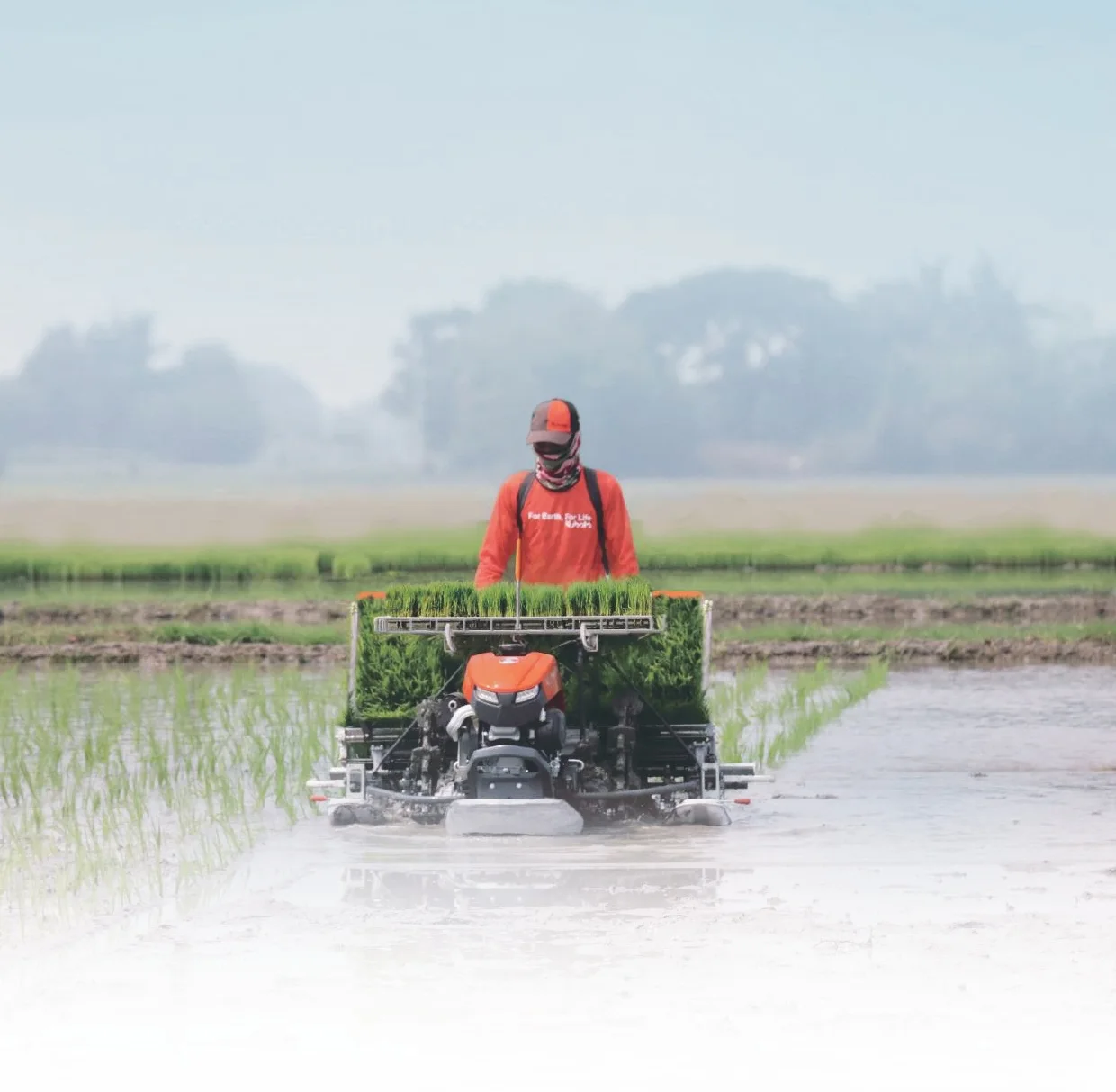 Kubota Walk-behind Rice Transplanter Knp-4w Automatic Seeder Machine ...