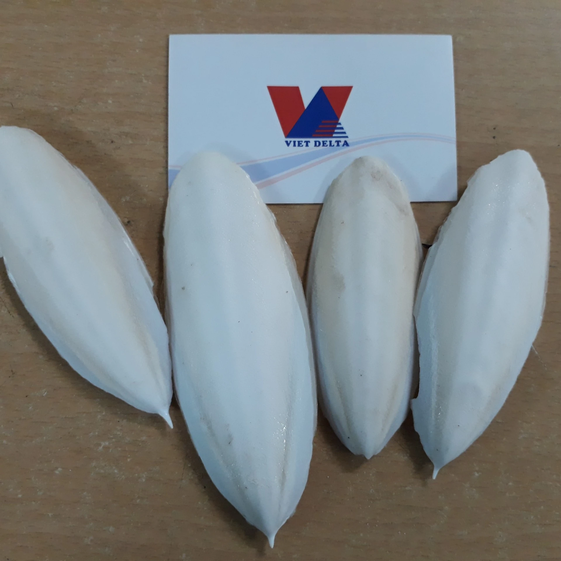 CUTTLEFISH BONE - Dried Cuttlefish Bone Parrot Food - Sepia Cuttlebone ...