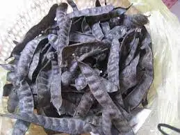 Wholesale Cheap Price Premium Quality Frozen Dried Locust From Vietnam ...