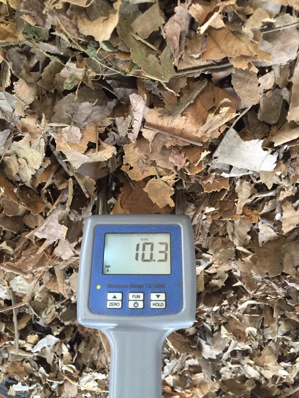 Whosale Dried Teak Leaves Packaging 23kg/pe Bag From Vietnam High ...