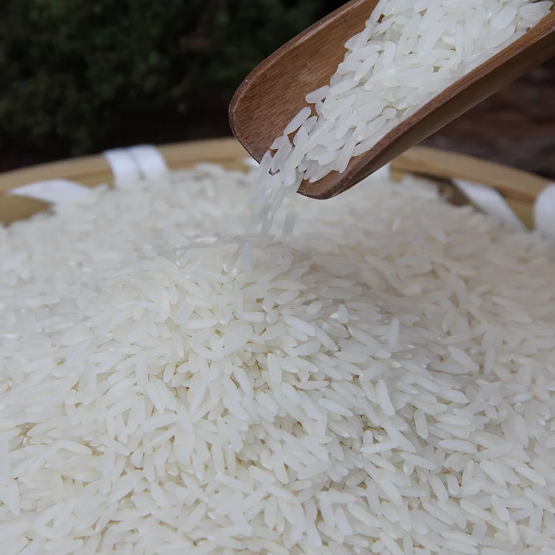 100% Certified Top Export Long Grain Aromatic Jasmine Rice Top Export ...
