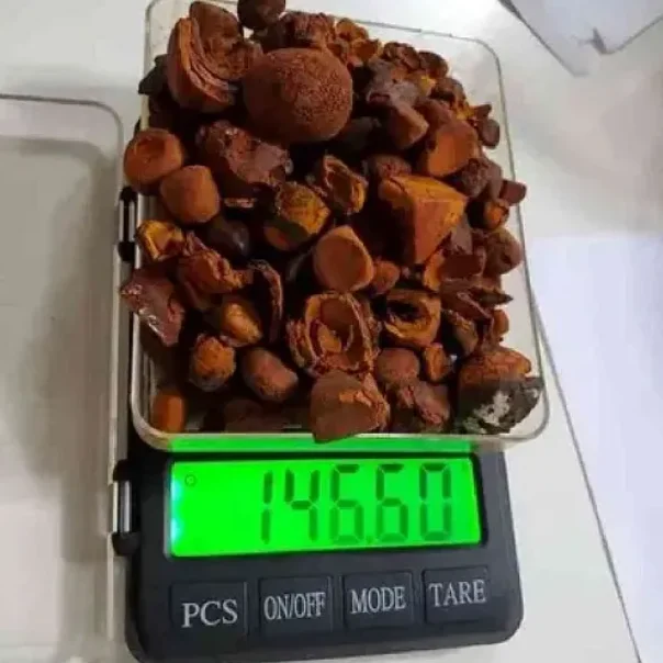 Dried Cow Ox Gallstones | Cattle Gallstones| Cow Gallstones - Buy ...