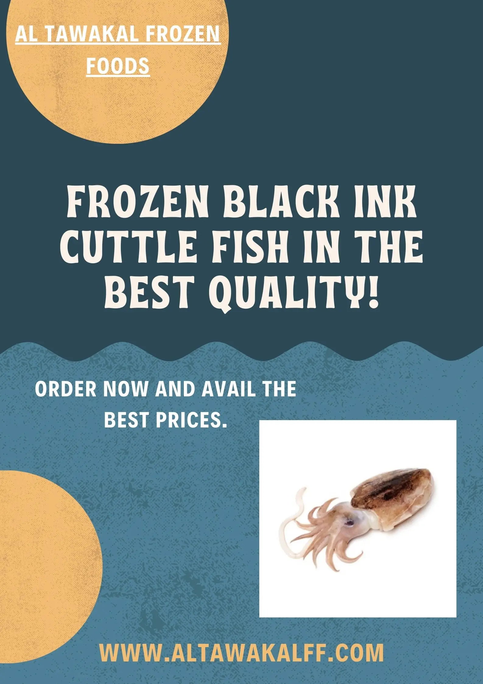 Frozen Cuttlefish Dipped In Black Ink Whole Frozen Cuttlefish In Bulk ...