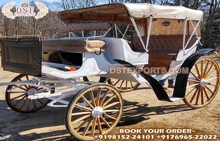 European Luxury Sightseeing Horse Drawn Carriage Trendy Tourist Vis a ...