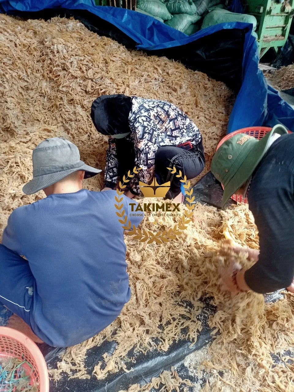 Wholesale Premium Quality Dried Sea Moss Irish Seamoss Irish Moss ...