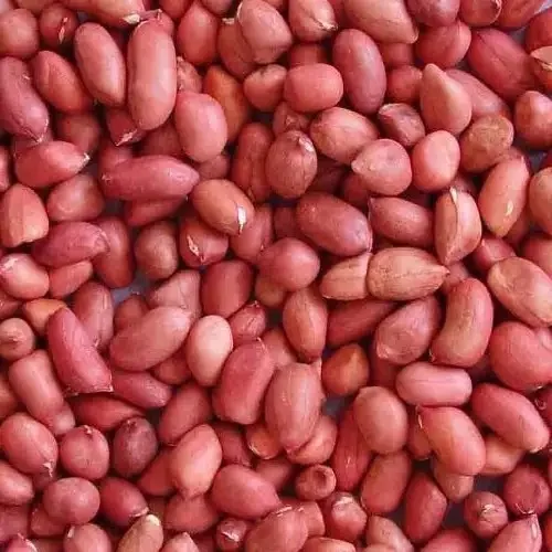 Bulk Raw Peanuts In Shell Available For Sale - Buy Organic Raw Peanuts ...