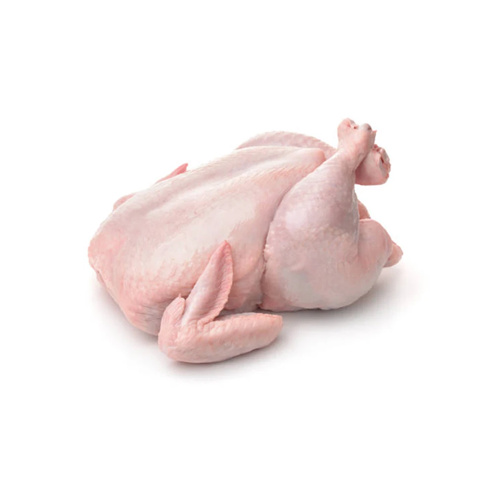 best-quality-halal-chicken-frozen-breaded-chicken-for-sale-buy-frozen