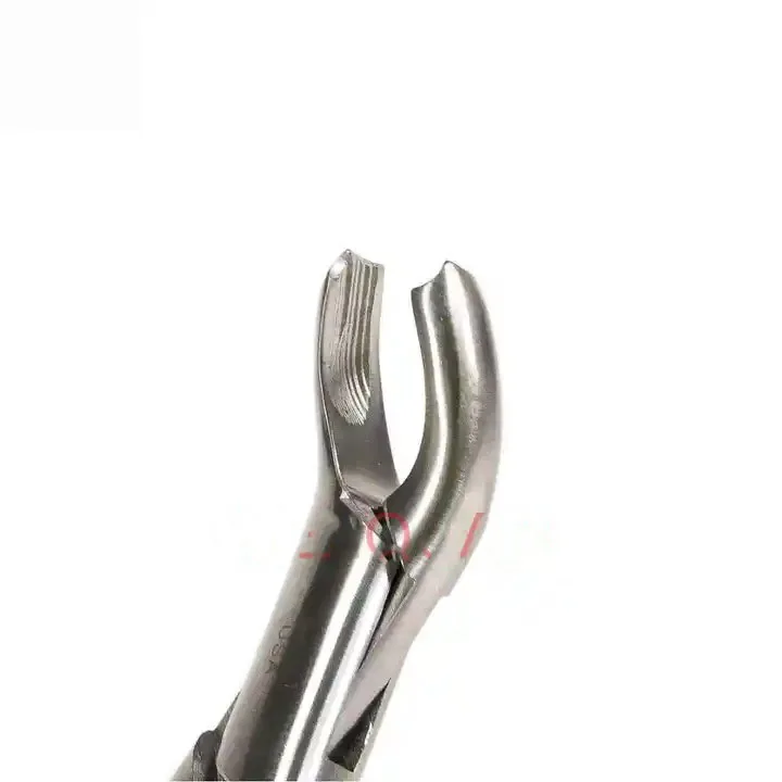 Dental Forceps American Pattern #17 Upper Molar Right Stainless Steel ...