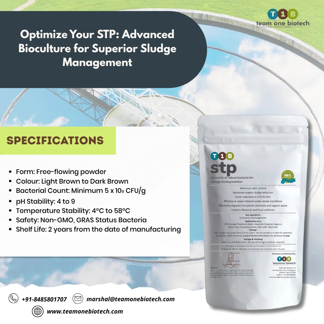 Municipal STP Wastewater Treatment Bioculture Water Treatment Machinery ...