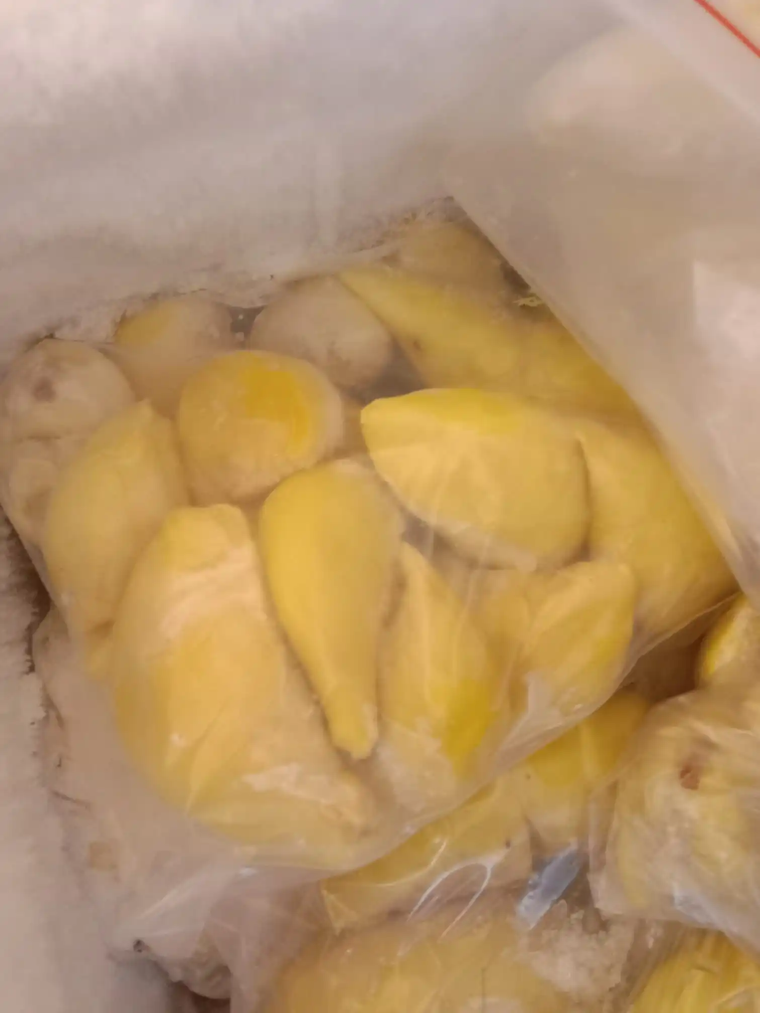 Viet Delta Ri6 Frozen Vietnamese Durian Seeds - Sweet Treat