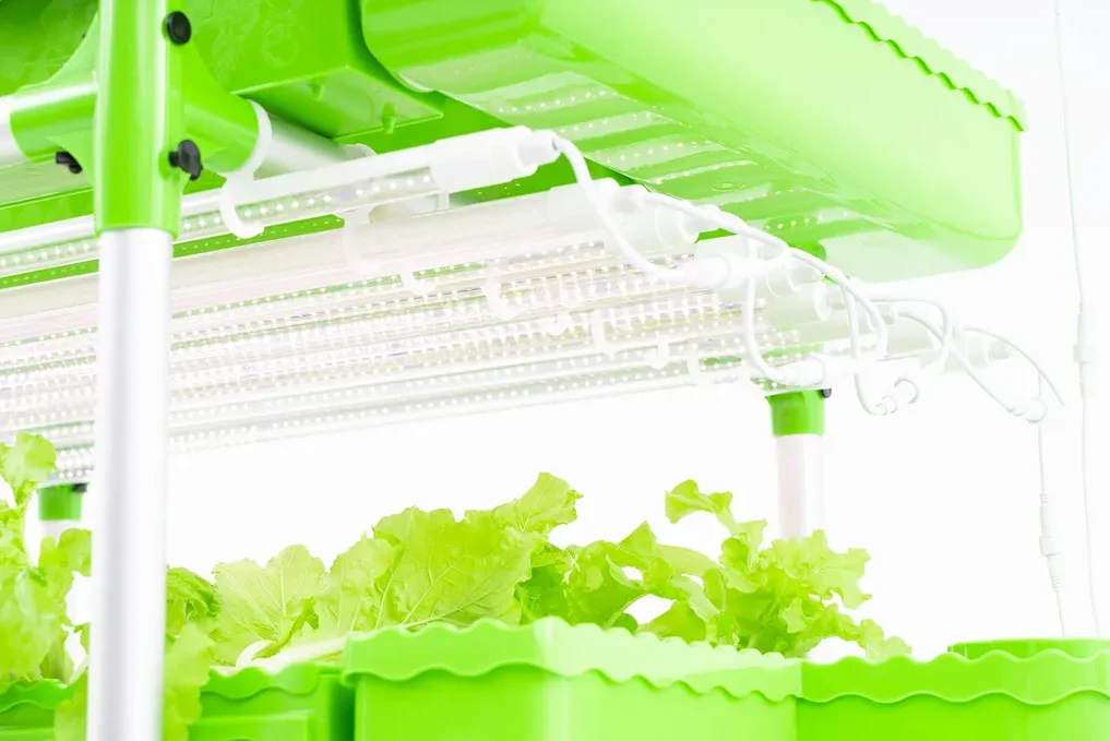 Aquaponics Fish Farming and Greenery Cultivation Medium Family Set ...