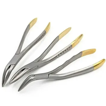 Dental Forceps Root Tooth Extraction Tooth Pliers Forceps With Fitting ...