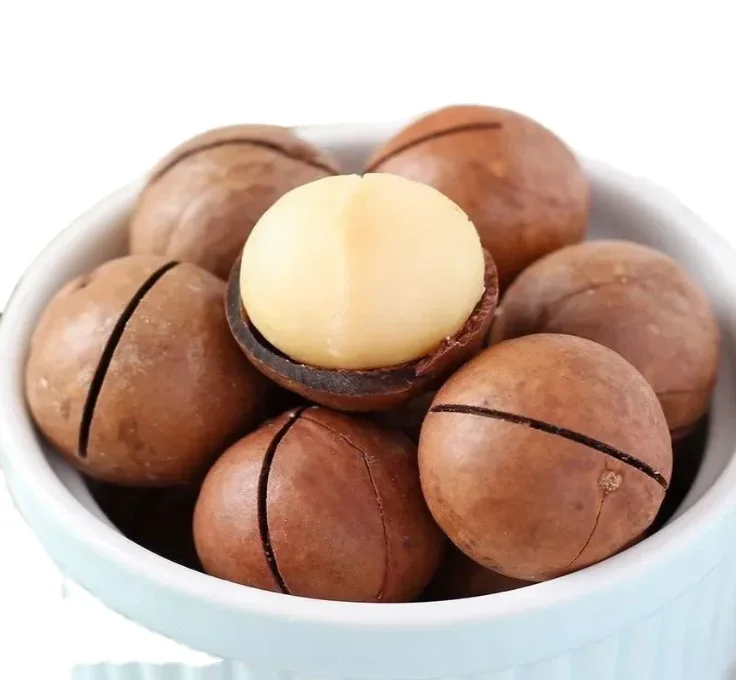 Thin Shell Meat Creamy Original Flavor Full Big Fruit Wholesale Nuts ...